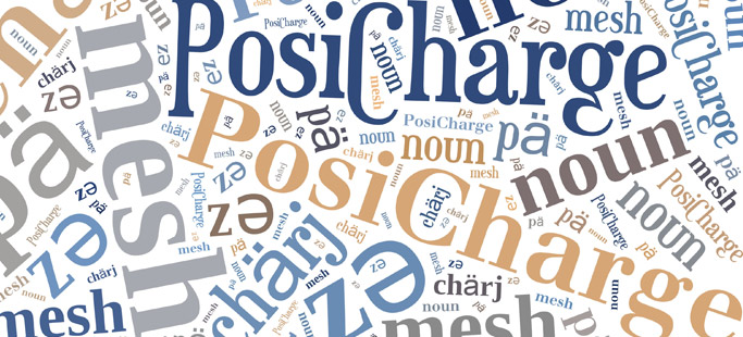 glossary_posicharge | SanMar U